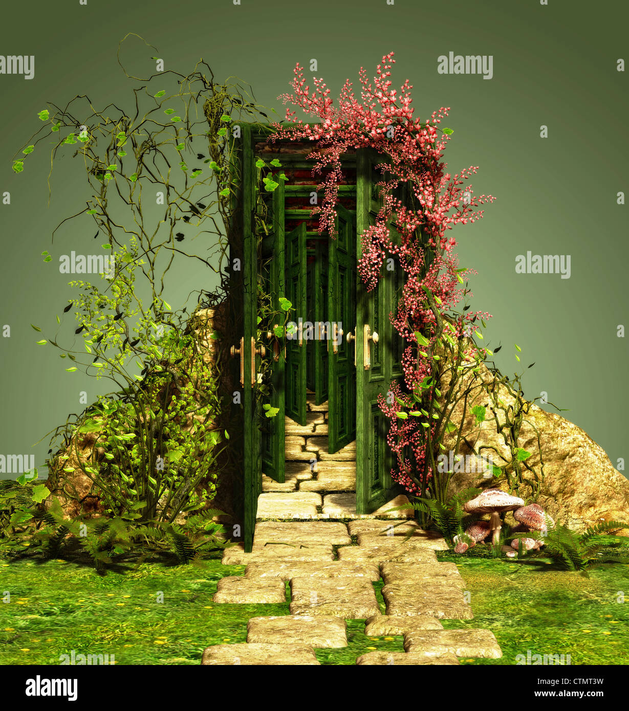 a curious entrance with vines and countless doors Stock Photo - Alamy