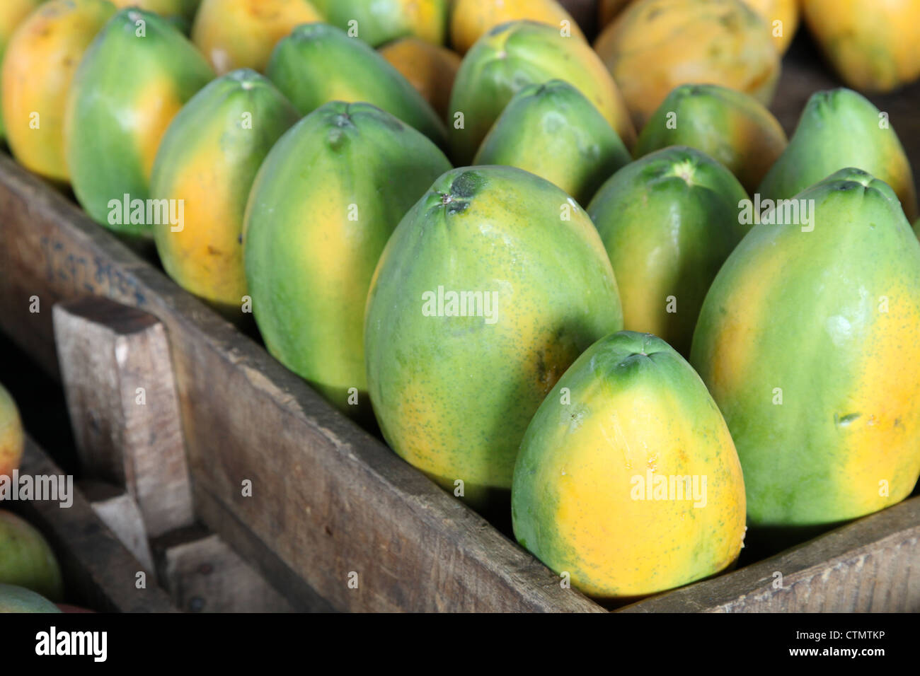 Mangoes Season In Costa Rica at Katie Kendall blog