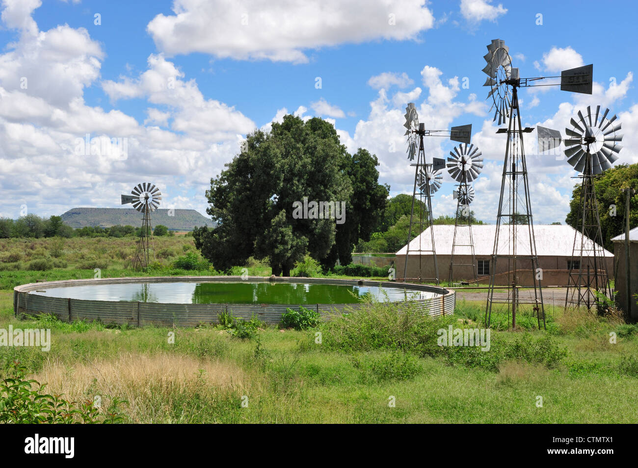 Karoo sheep farm, windmills and storage reservoir, Karoo, South Africa ...