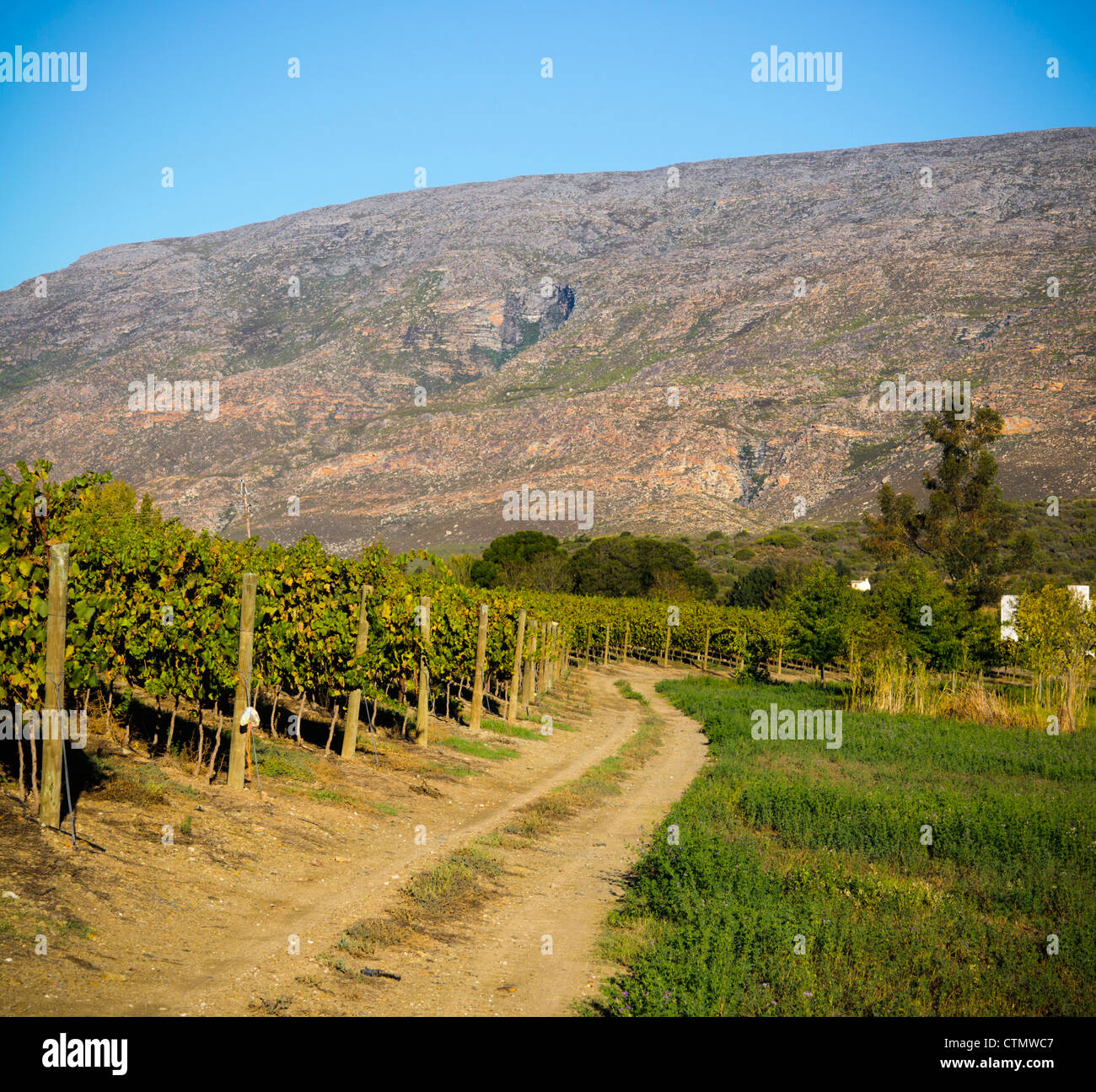 Dirt track winds, Route 62, Barrydale, Western Cape, South Africa Stock ...