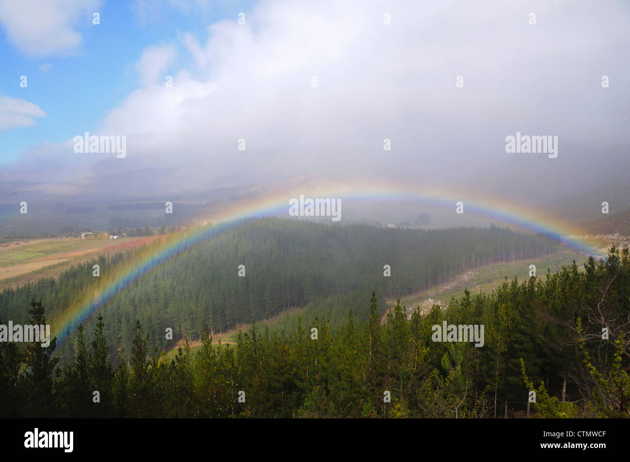 Groenleegte nature reserve hi-res stock photography and images - Alamy