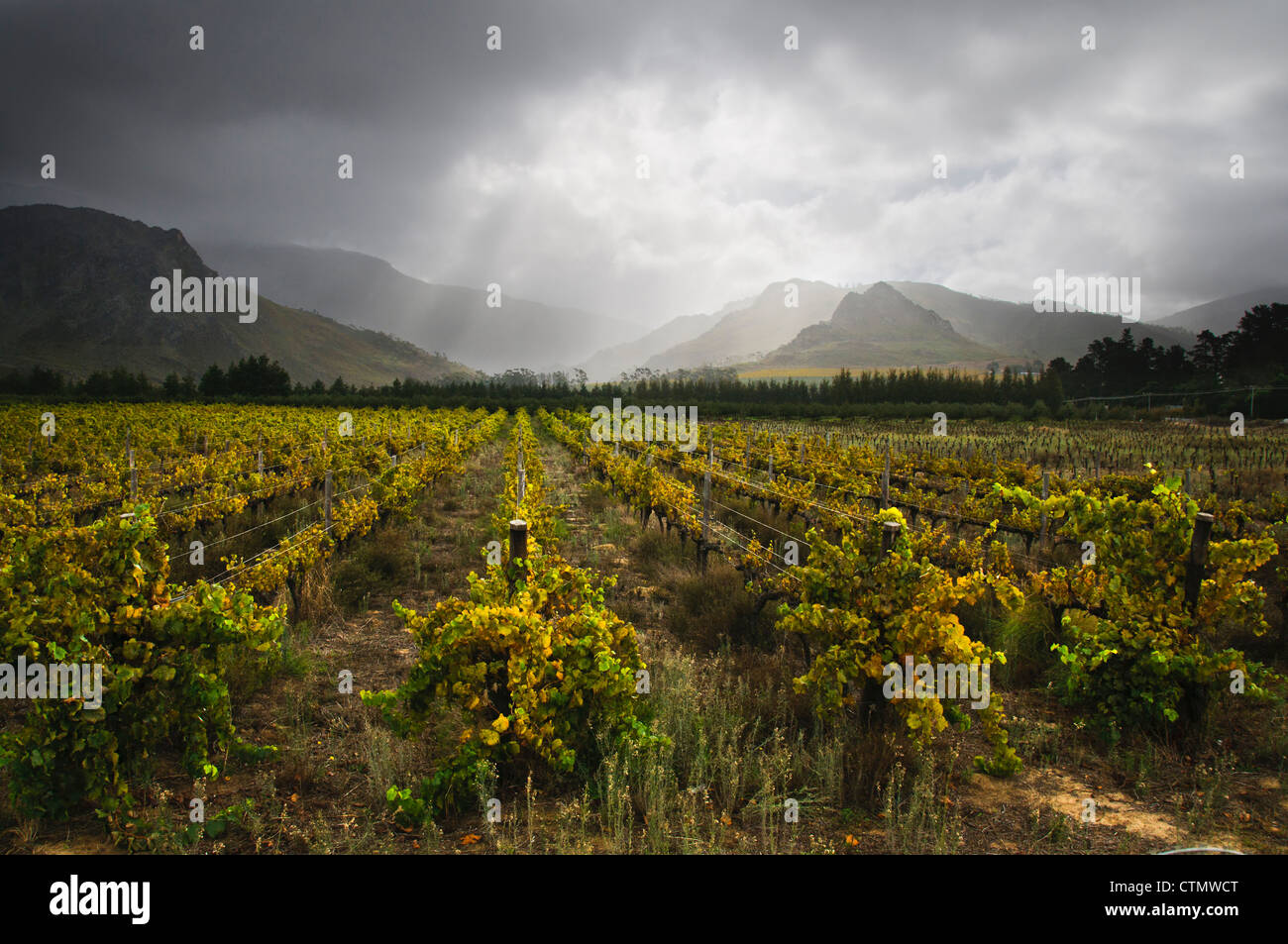Western cape mountain silhouette hi-res stock photography and images ...