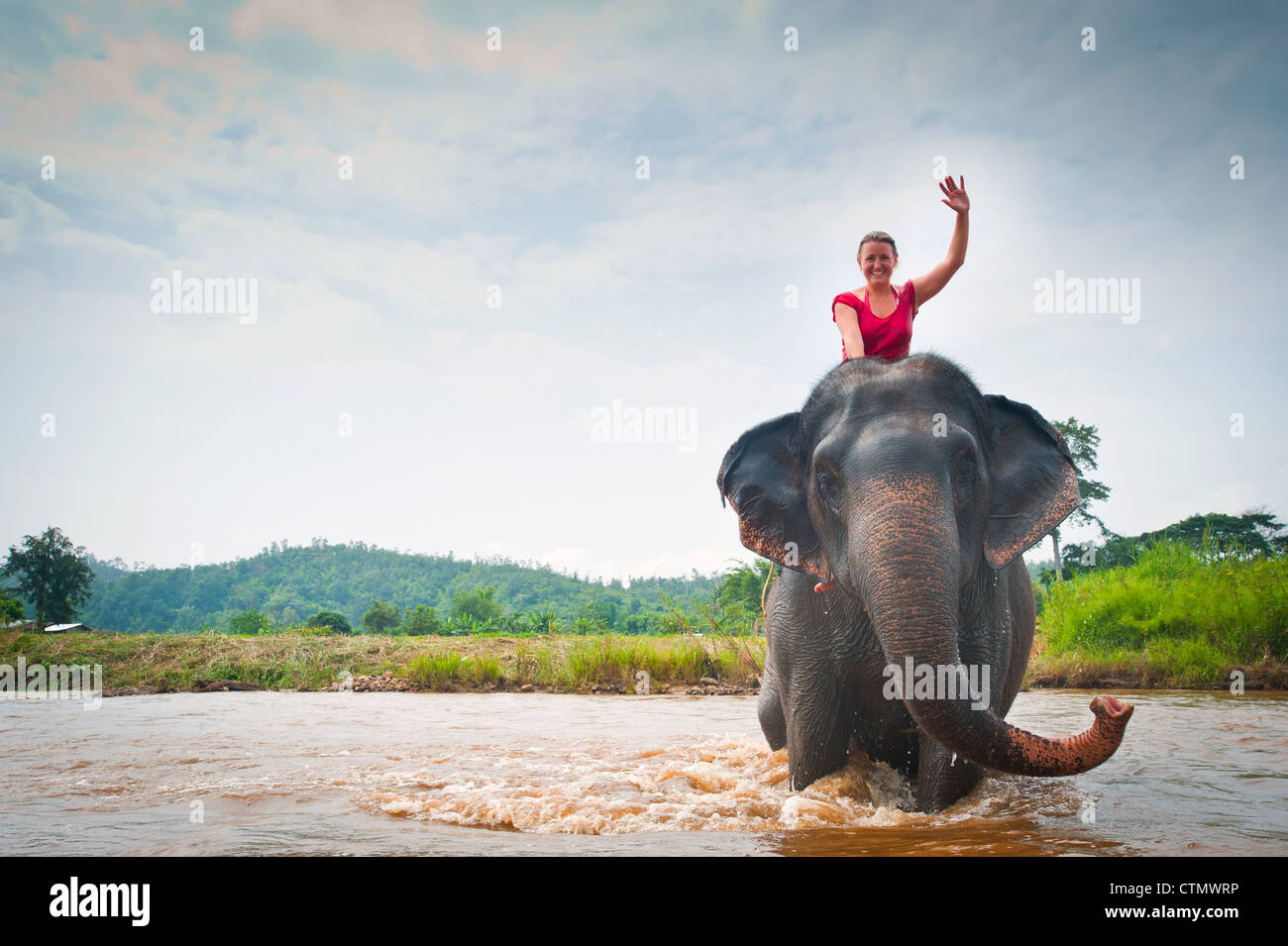 Young woman on elephant hi-res stock photography and images - Alamy