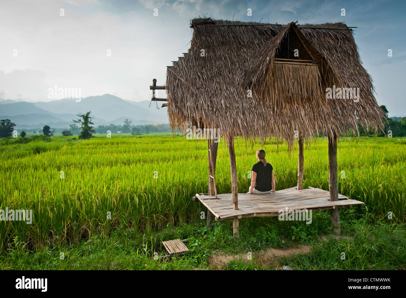Woman sitting under traditional bus stop looks out over rice paddy in ...