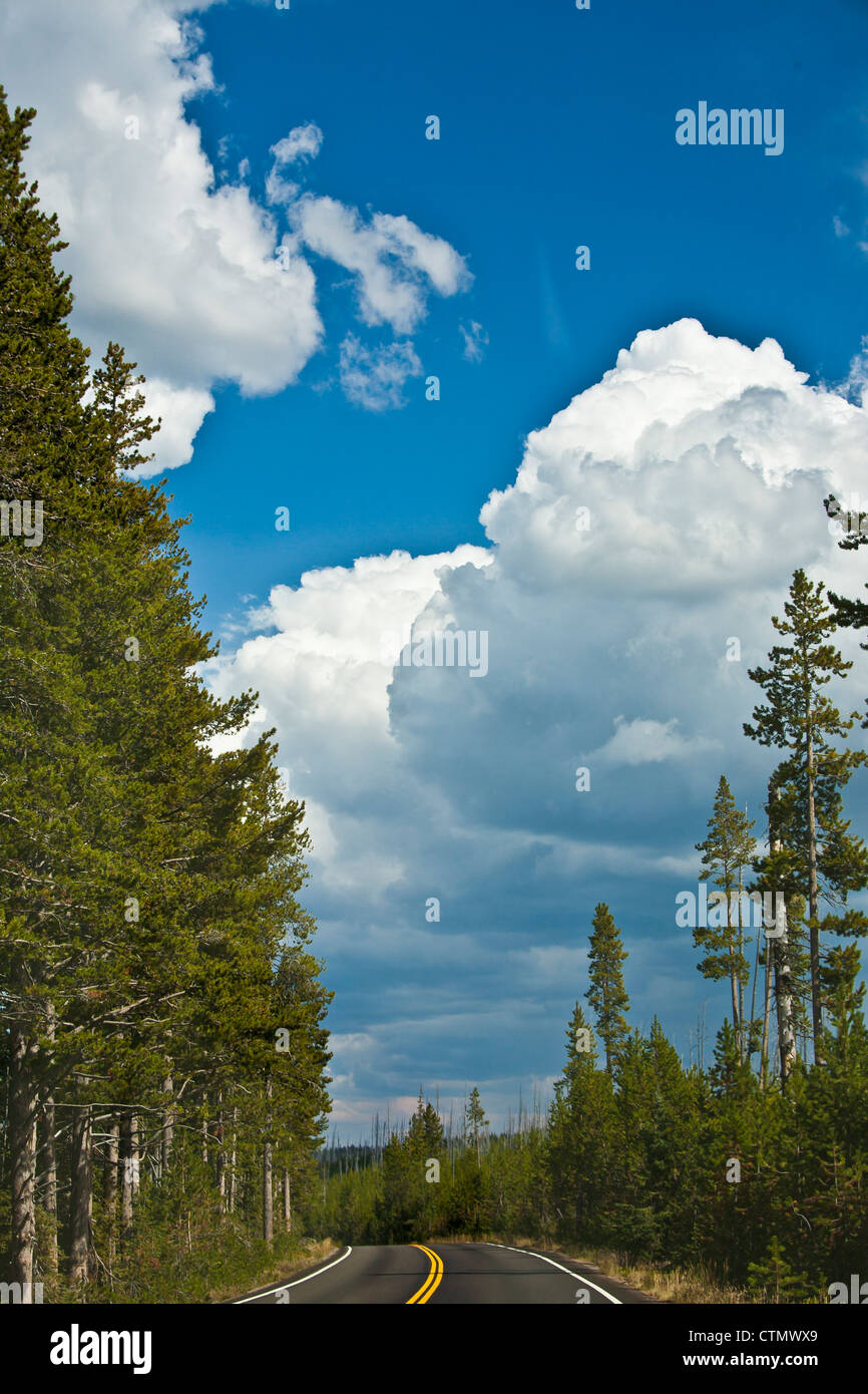 highway with painted lines in a forest Stock Photo - Alamy