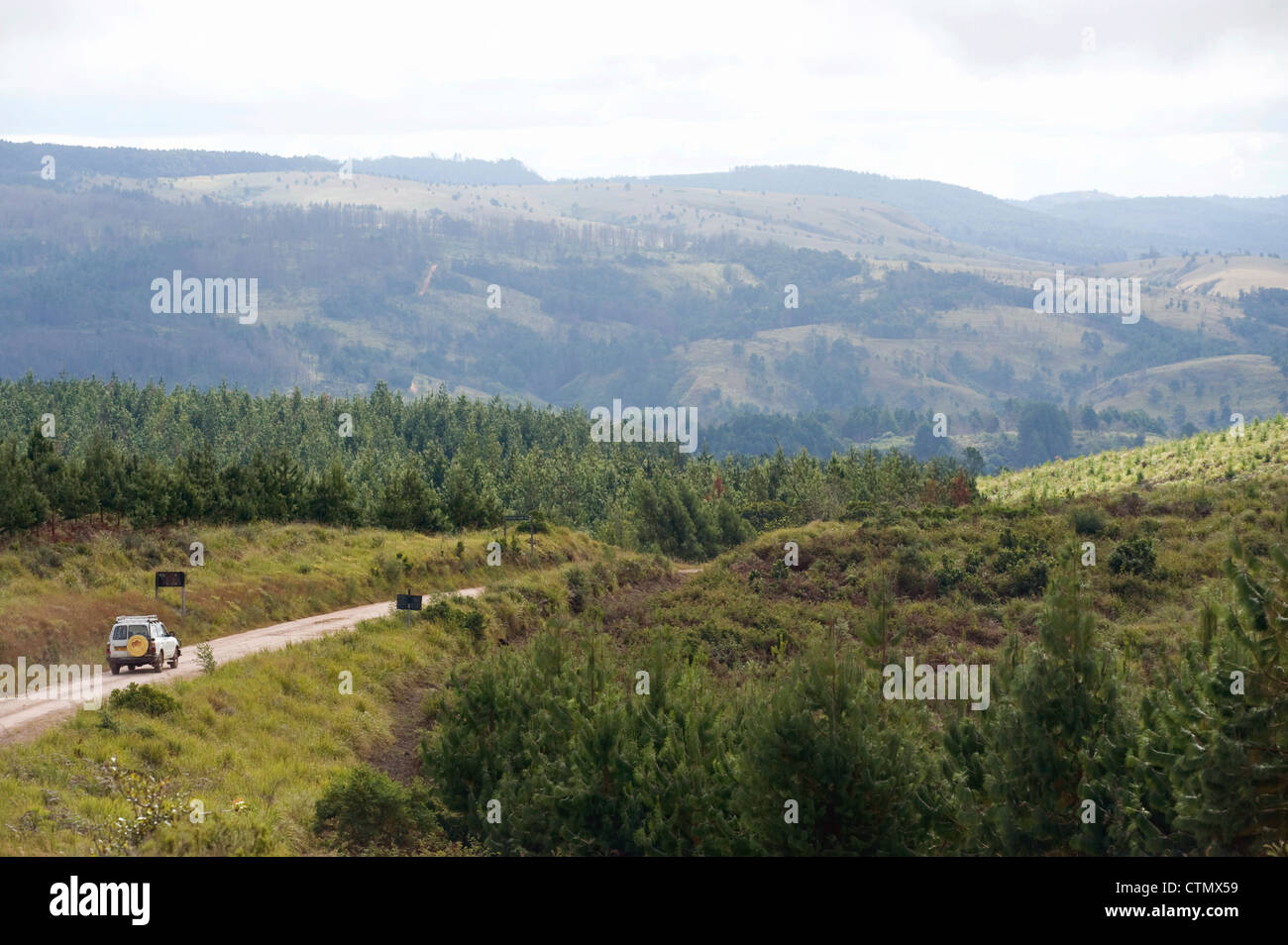 Nyanga National Park, Eastern Highlands, Zimbabwe Stock Photo - Alamy