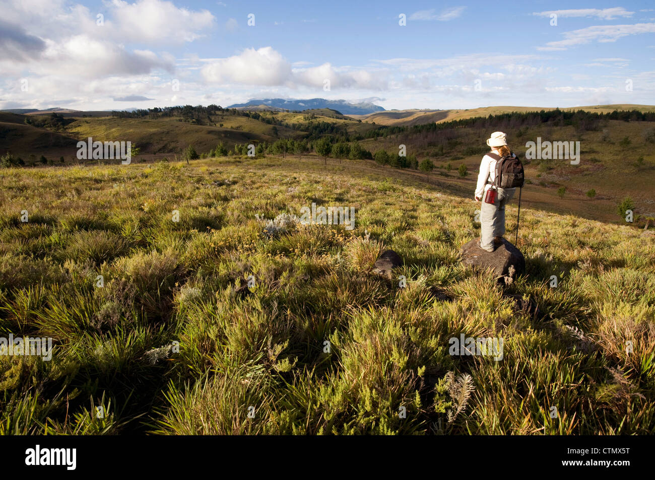 Nyanga National Park, Eastern Highlands, Zimbabwe Stock Photo - Alamy