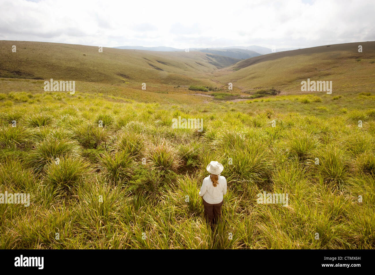 Nyanga National Park, Eastern Highlands, Zimbabwe Stock Photo - Alamy
