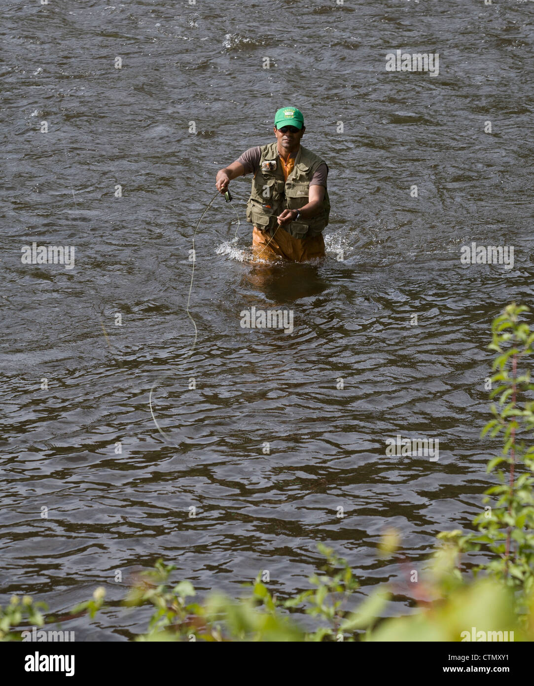 Mr trout hi-res stock photography and images - Alamy