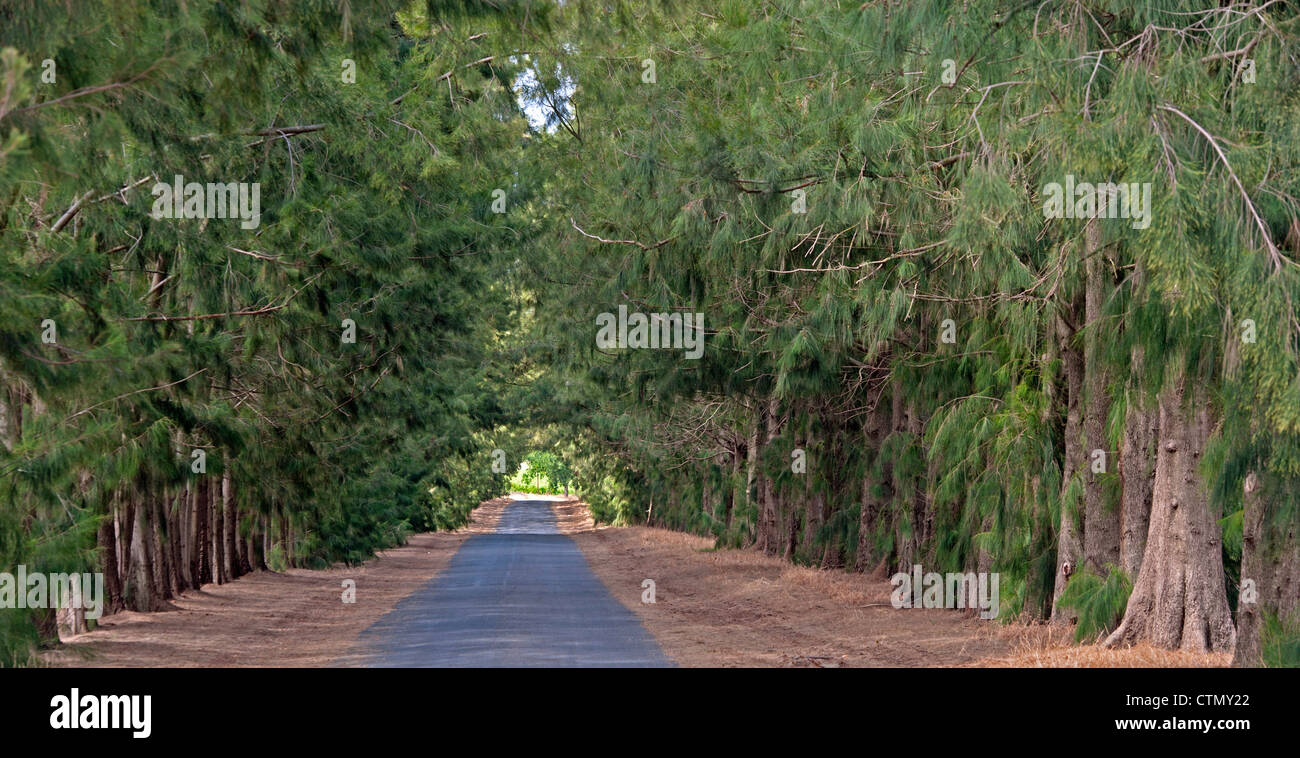 Paarl cape province south africa hi-res stock photography and images ...