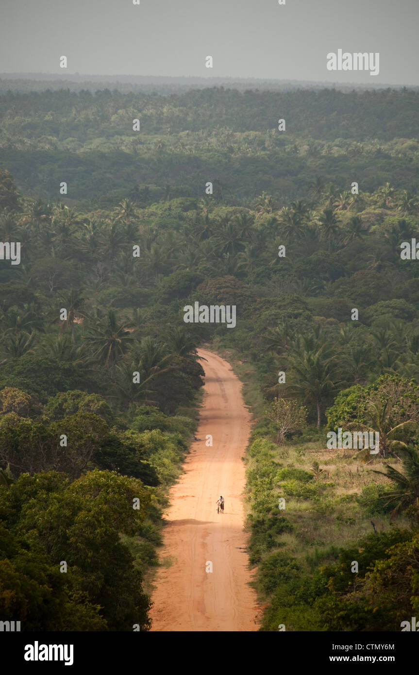 Road through jungle, Zavora, Mozambique Stock Photo - Alamy