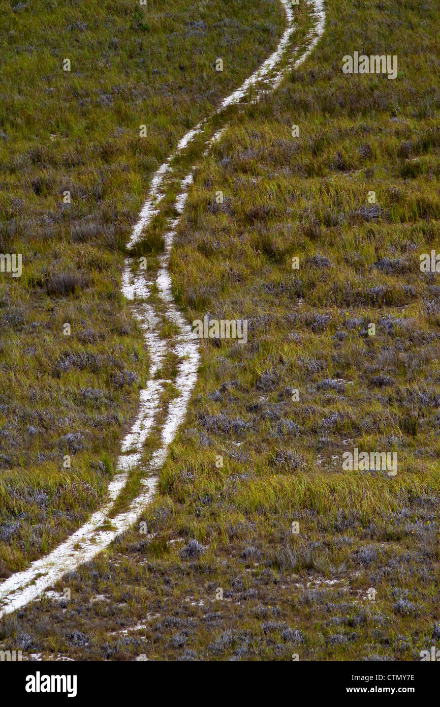 Dust track on shore of Lake Sibaya, Sodwana Bay, Kwa Zulu Natal, South ...