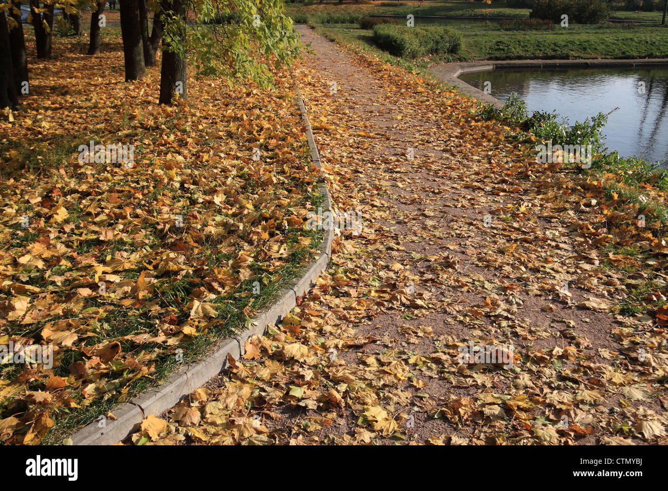 park in gold fall Stock Photo - Alamy