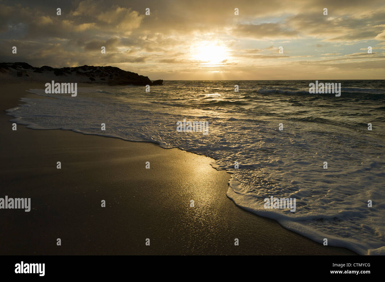 South africa de hoop marine hi-res stock photography and images - Alamy