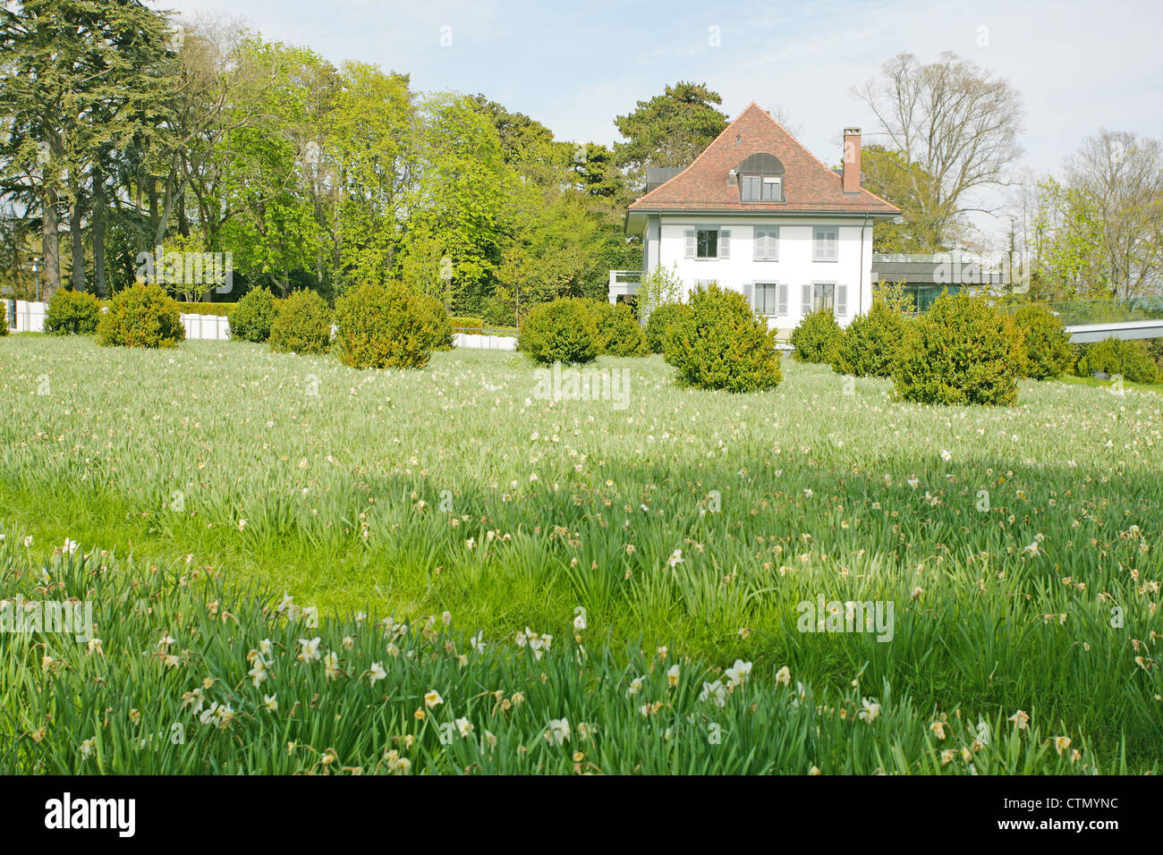 Beautiful house rounded by a green field Stock Photo - Alamy