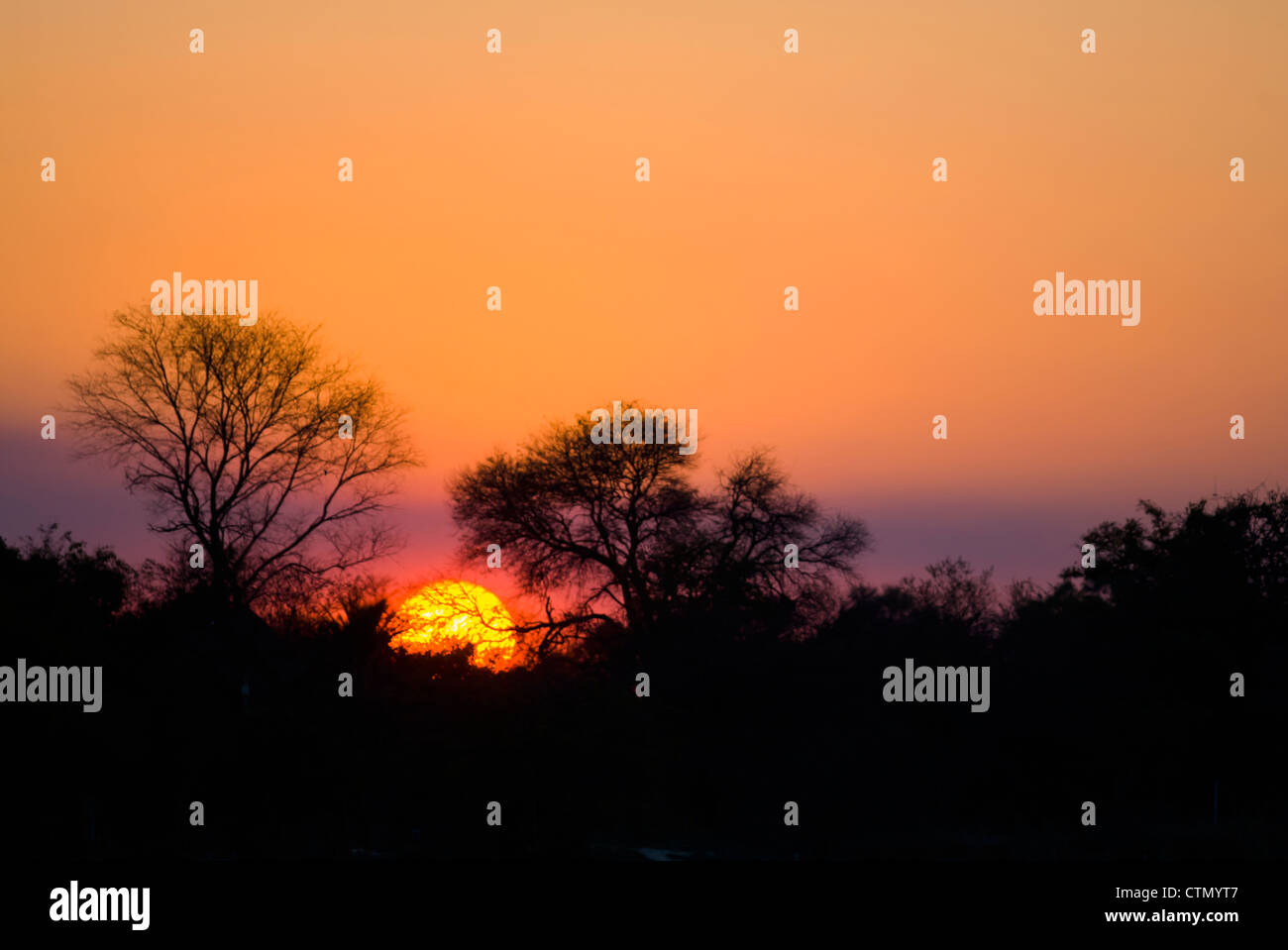 In the remote caprivi strip of namibia hi-res stock photography and ...