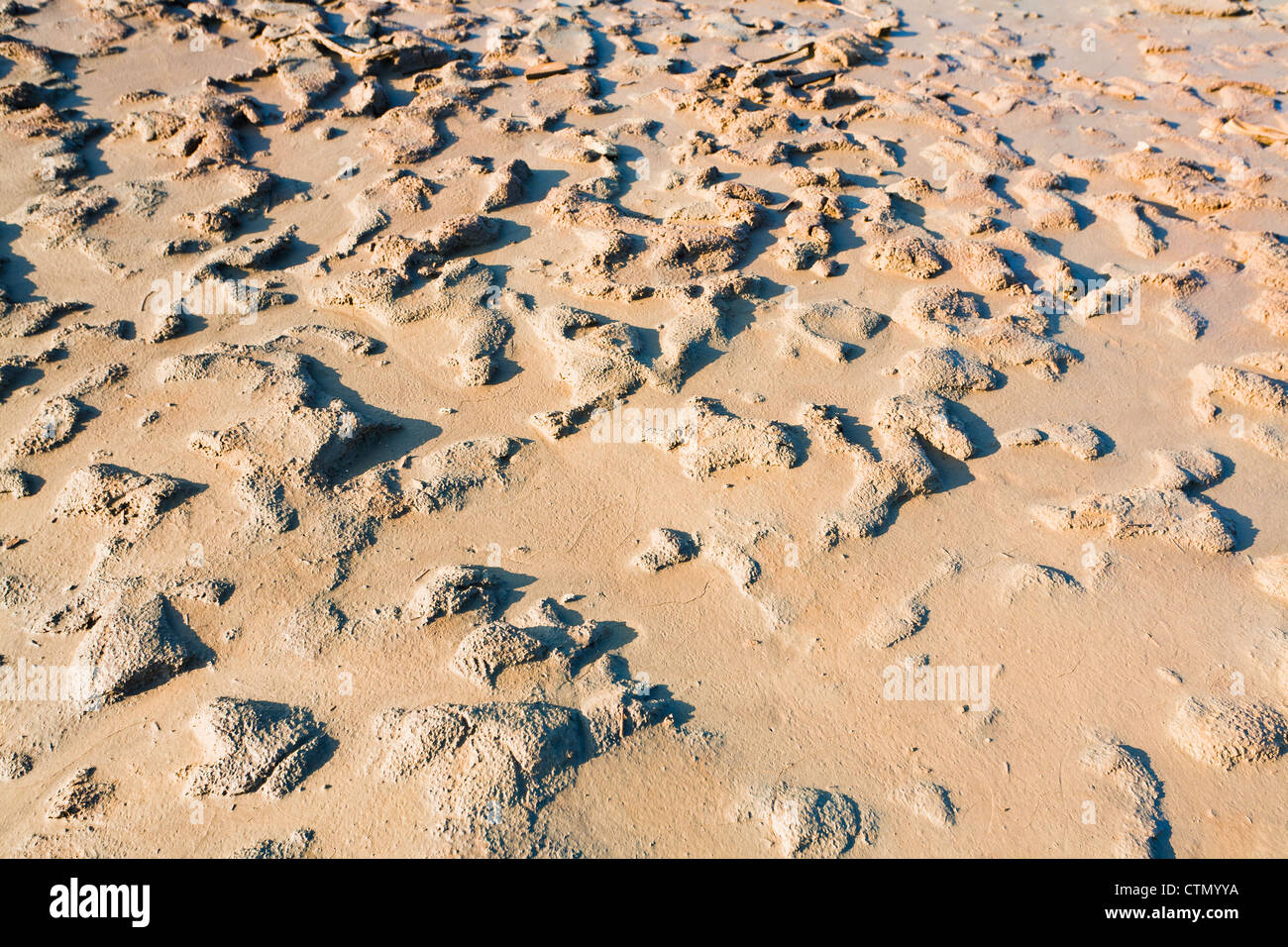 mud beach of Dead sea in Jordan Stock Photo - Alamy