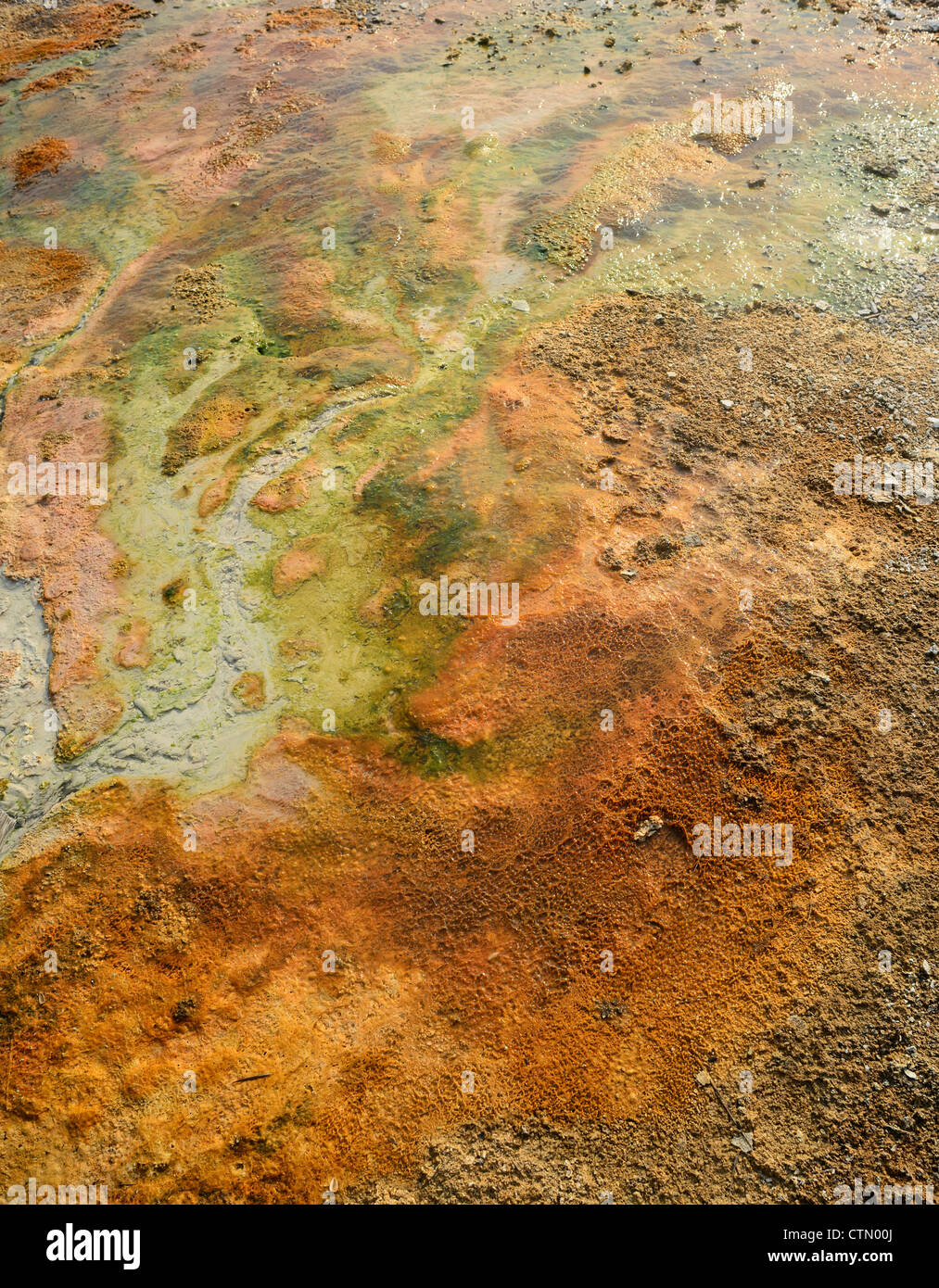 Caused by bacteria hi-res stock photography and images - Alamy