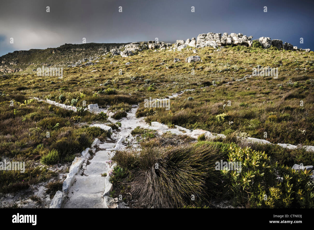 Crossroad of hiking paths, Muizenberg Peak, Silvermine, Table Mountain ...