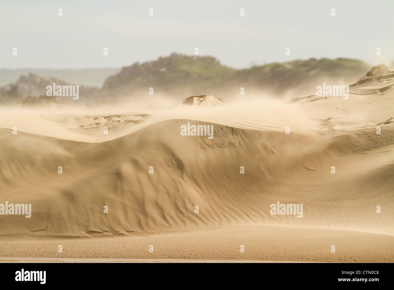 Wind blowing dust hi-res stock photography and images - Alamy