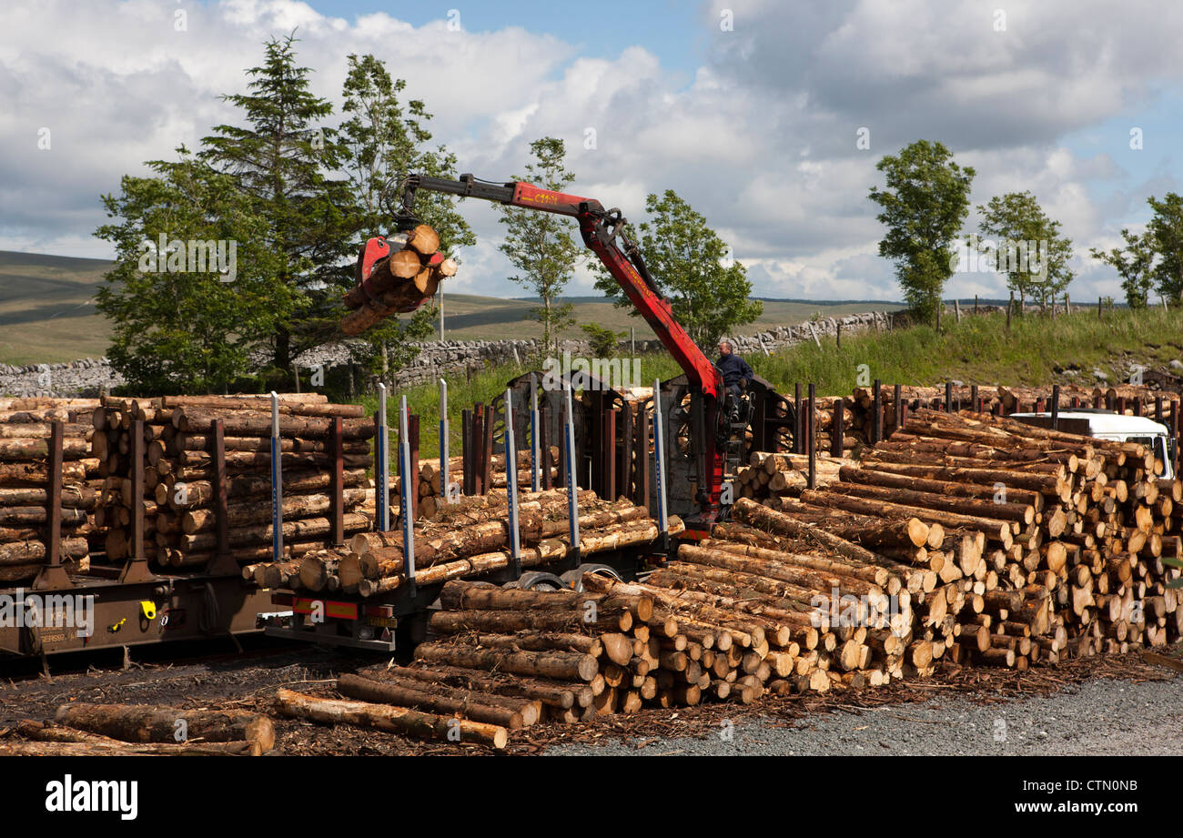 Colas Rail and Kronospan facility Wood train at Ribblehead Siding ...