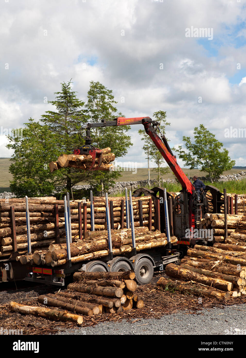 Colas Rail and Kronospan facility unloading cut logs for loading Wood ...