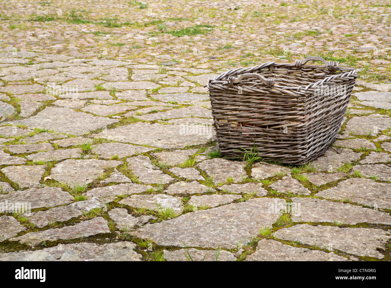 Lonely basked made from tree or bush branches Stock Photo - Alamy