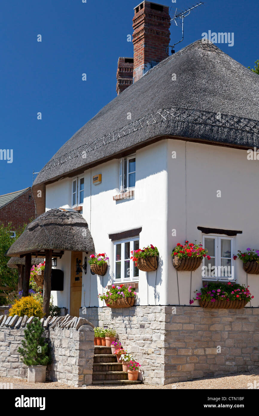 Modern house in a traditional thatched style, Tolpuddle, Dorset Stock ...