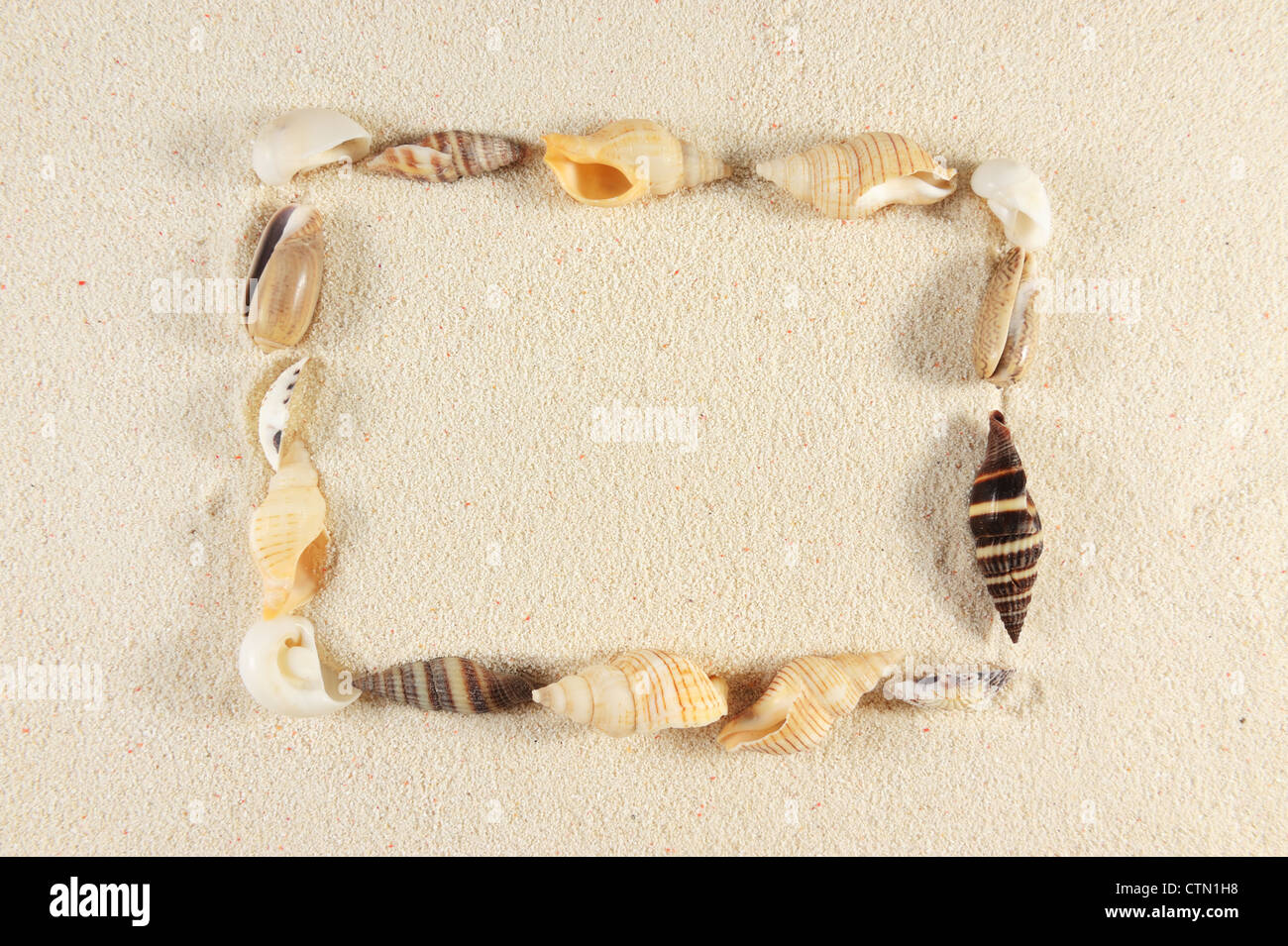 Rectangle made of seashells on the sand Stock Photo - Alamy