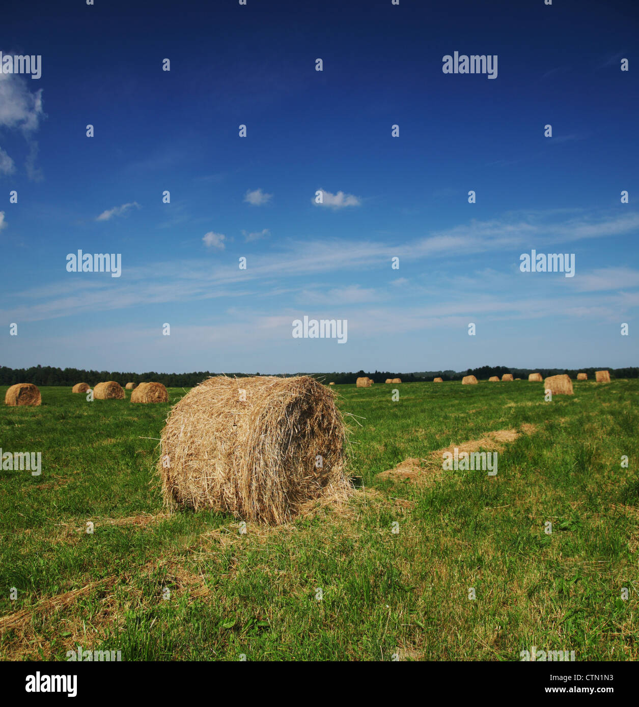 hay on field under blue sky Stock Photo - Alamy