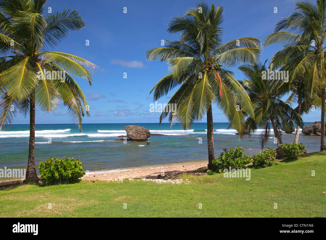 World famous surfing beach at Bathsheba on the Caribbean island of ...