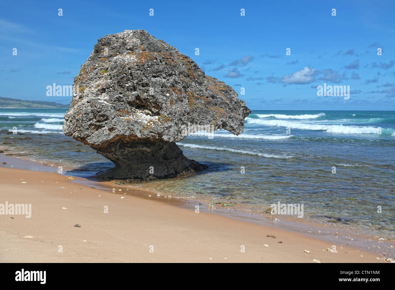 Bathsheba in barbados hi-res stock photography and images - Alamy
