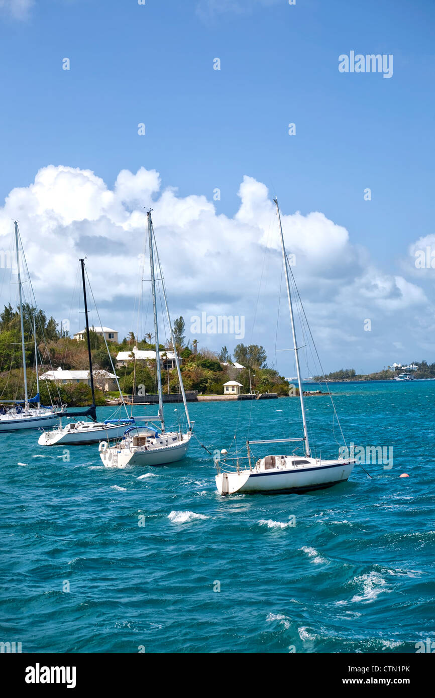 Sailboats moored in Hamilton Harbour, Bermuda Stock Photo - Alamy