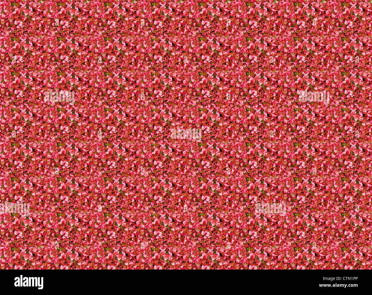 Abstract texture with red flower elements (for background Stock Photo ...