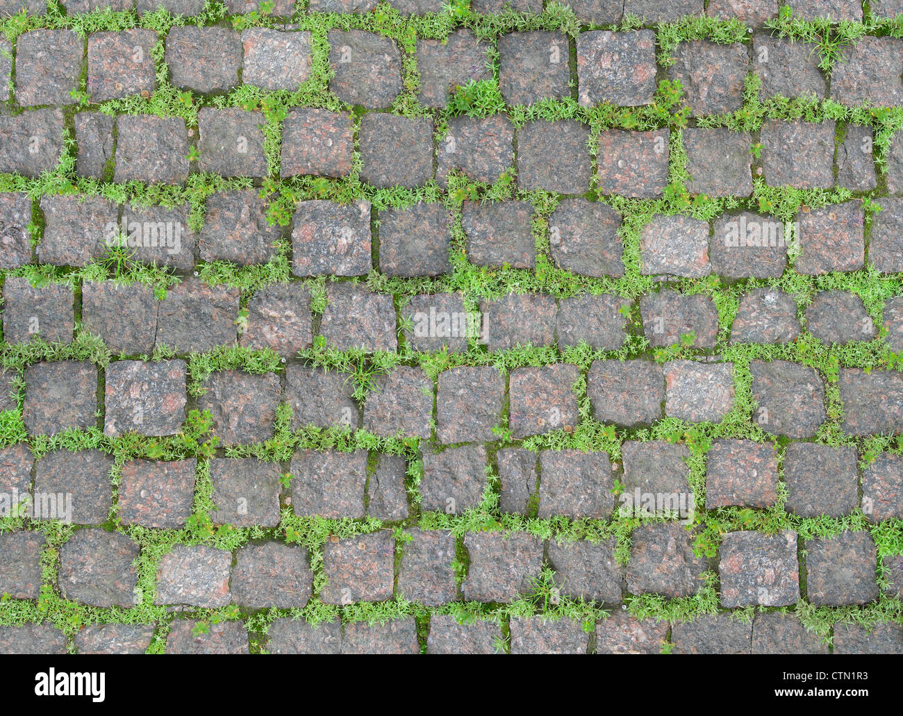Old stone wall overgrown with grass (for background Stock Photo - Alamy