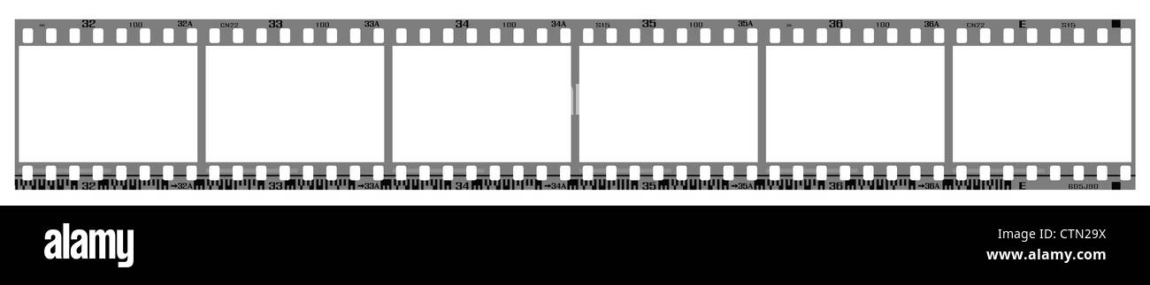 35mm negative frames, with details and accurate dimension. Realistic ...