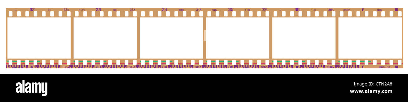 35mm negative frames, with details and accurate dimension. Realistic ...