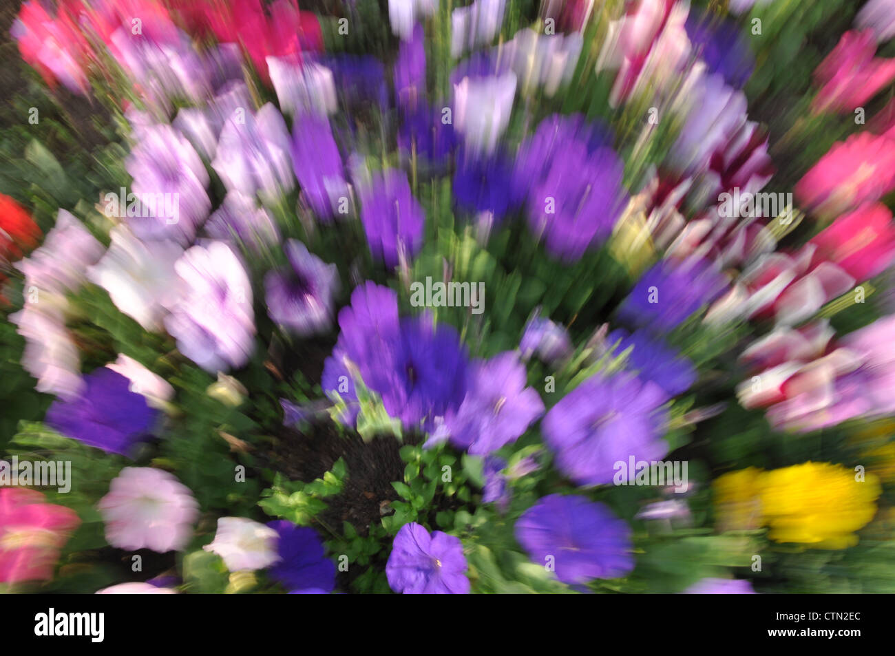 Panned floral hi-res stock photography and images - Alamy
