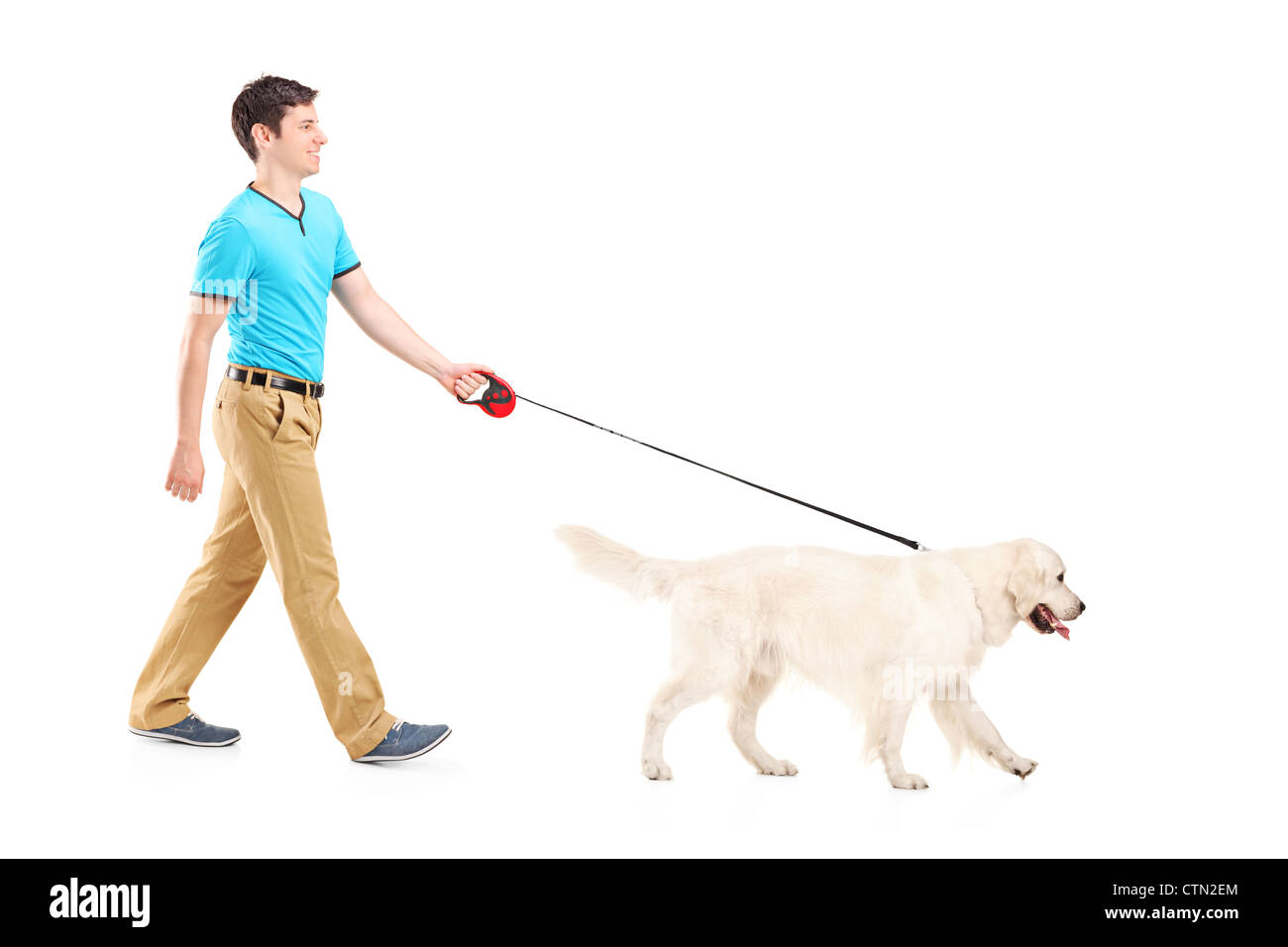 Full length portrait of a young man walking a dog, isolated on white ...