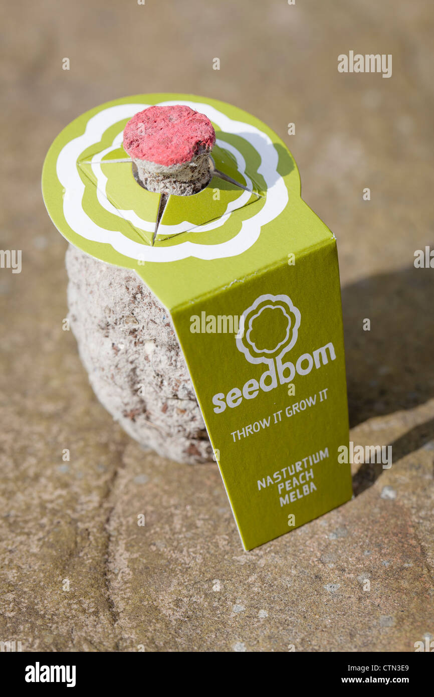Kabloom seedbom seed container Stock Photo - Alamy