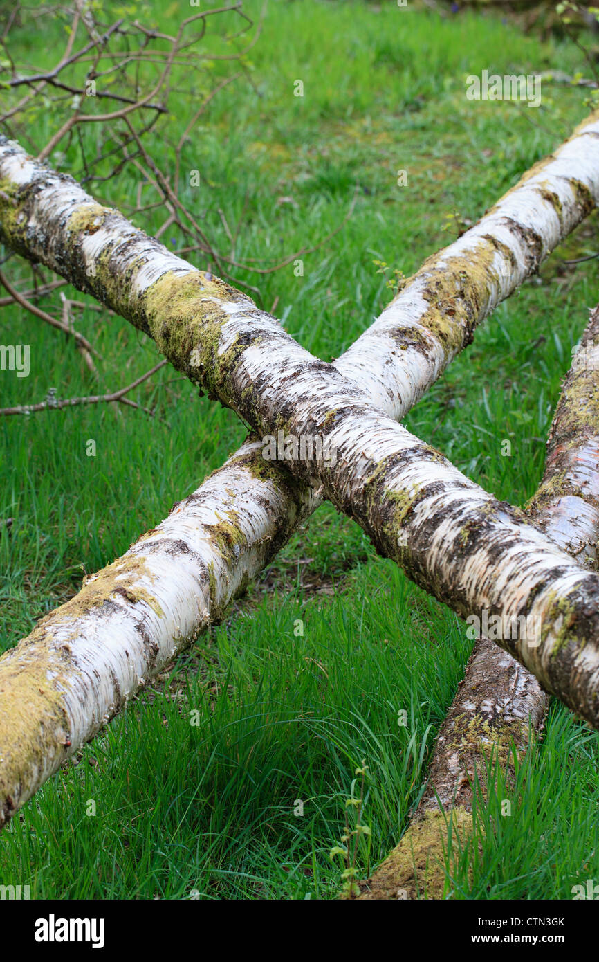 Crossed fallen tree hi-res stock photography and images - Alamy