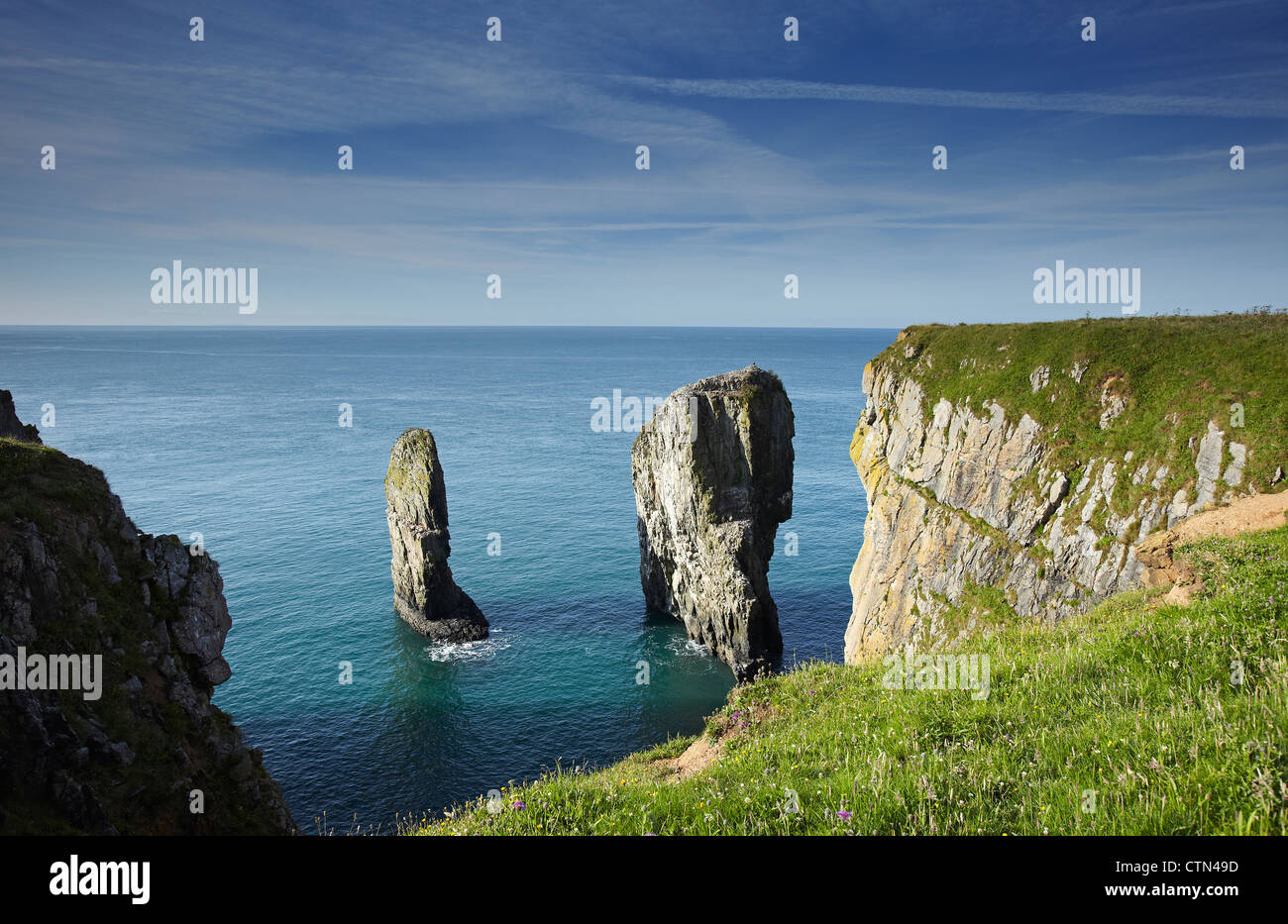 Elegug Stack Rocks, Pembrokeshire, Wales, UK Stock Photo - Alamy