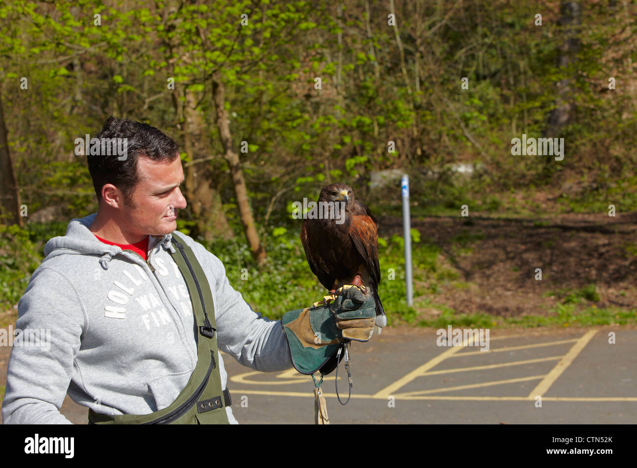 Training hawk hi-res stock photography and images - Alamy