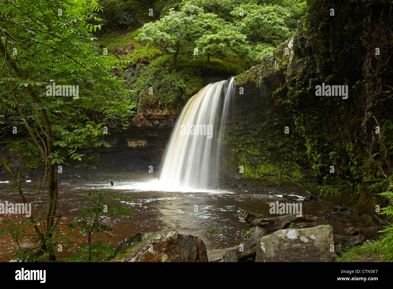 Sgwd Gwladys (Lady Falls) Pontneddfechan, Neath Valley, Wales, UK Stock ...