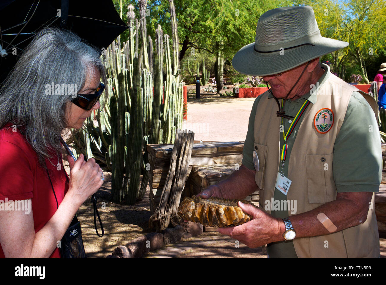 Desert Botanical Garden volunteer docent naturalist showing woman woody ...