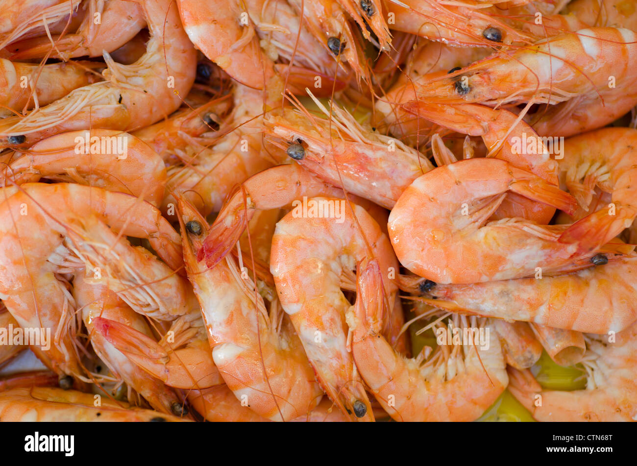 Background of cooked prawns Stock Photo - Alamy