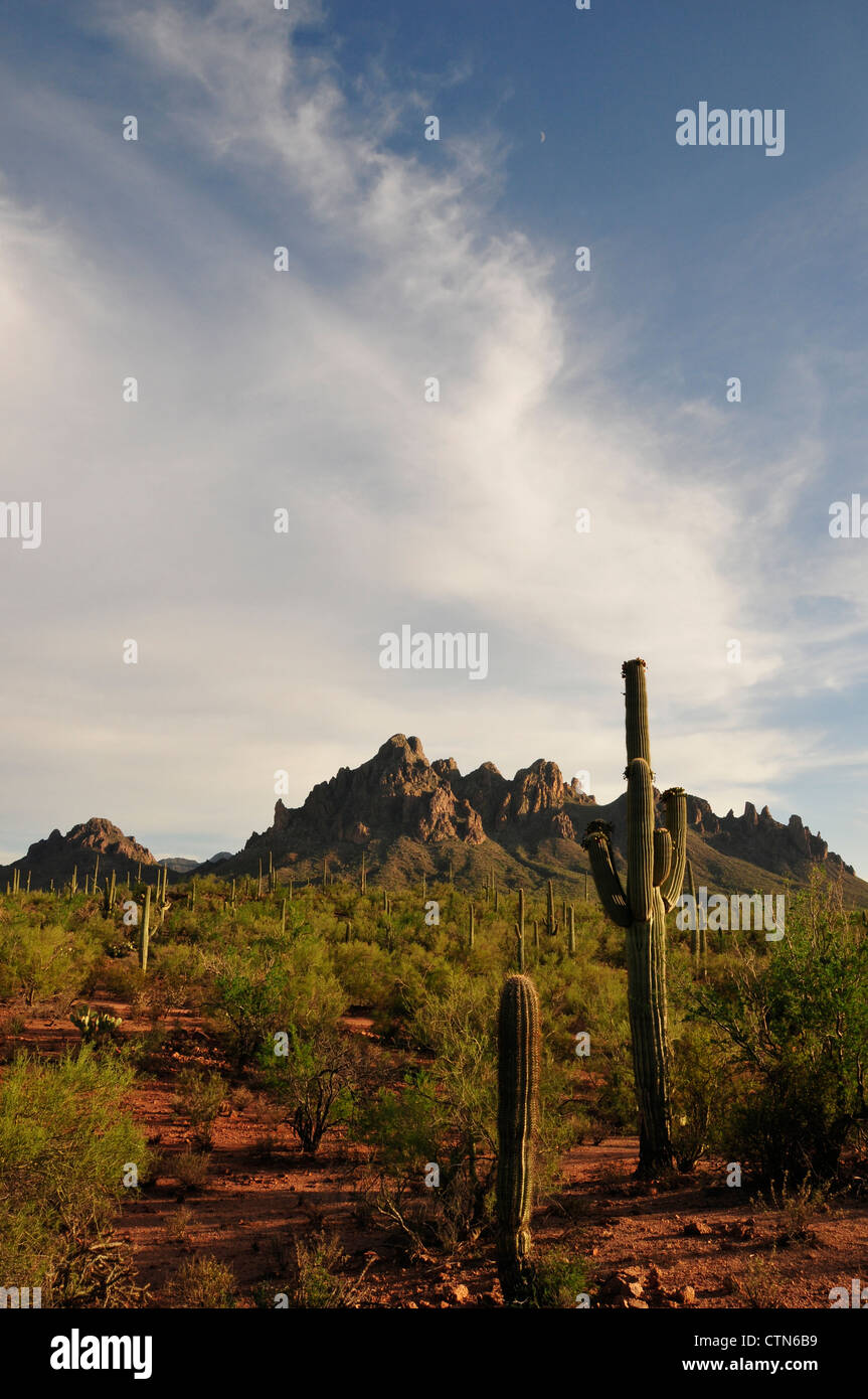Ragged Top in the Silver Bell Mountains in the Ironwood Forest National ...