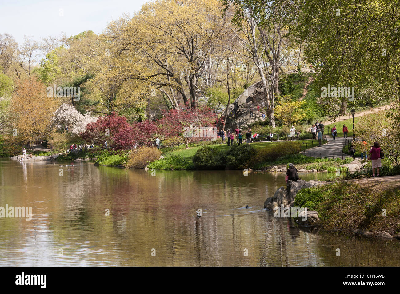 The Pond in Central Park, NYC Stock Photo - Alamy