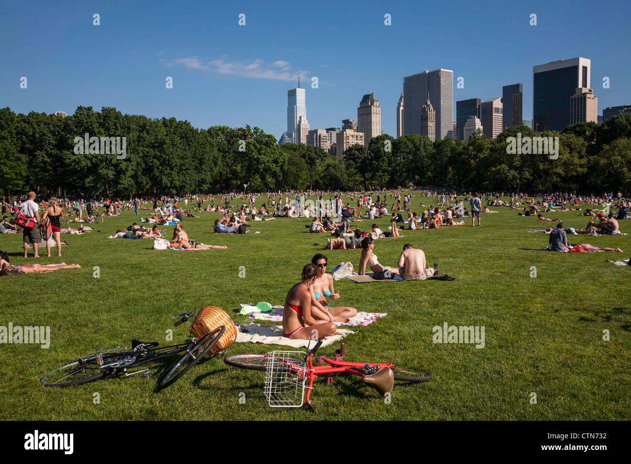 Sheep Meadow with Skyline in background, Central Park, NYC Stock Photo ...