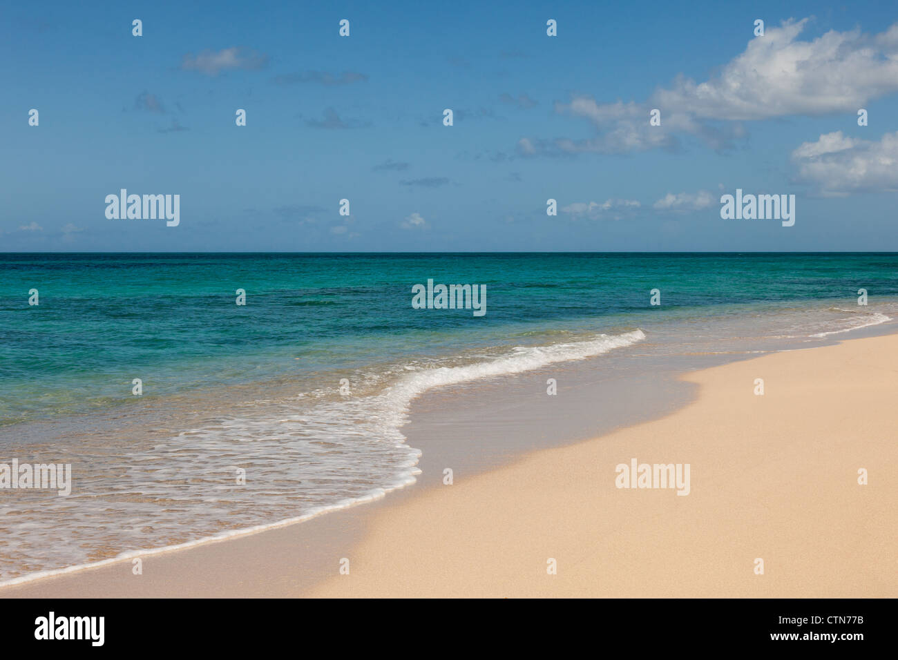 Beautiful Sandy Tropical Beach and Sunny Ocean Seascape with Copy Space ...